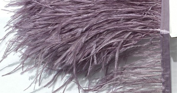 Eflatun Rengi Deve Kuşu Tüyü